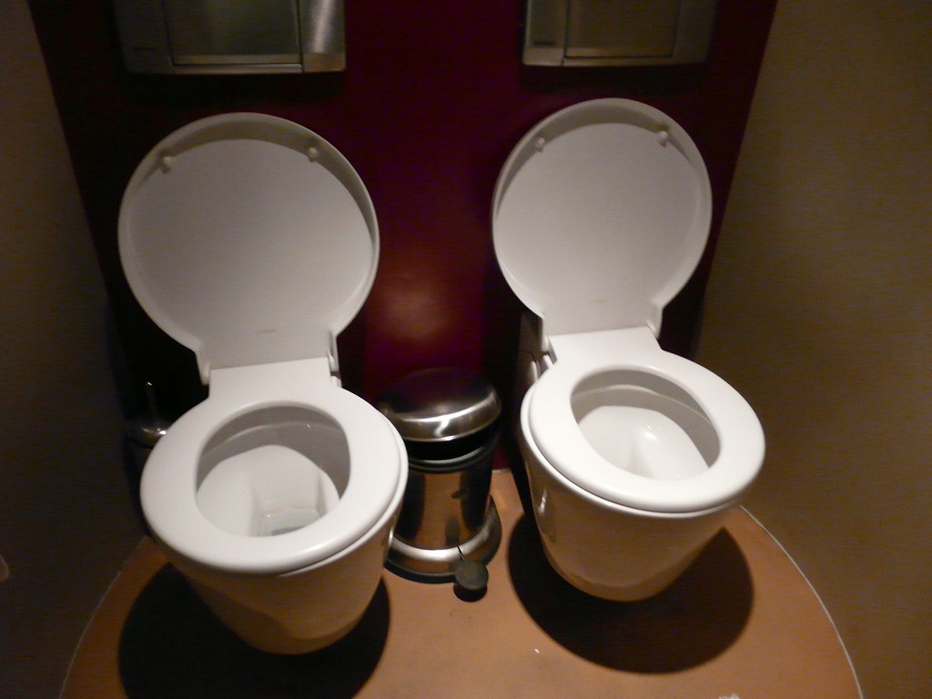 One Bathroom, Two Toilets | The Ugly Minute