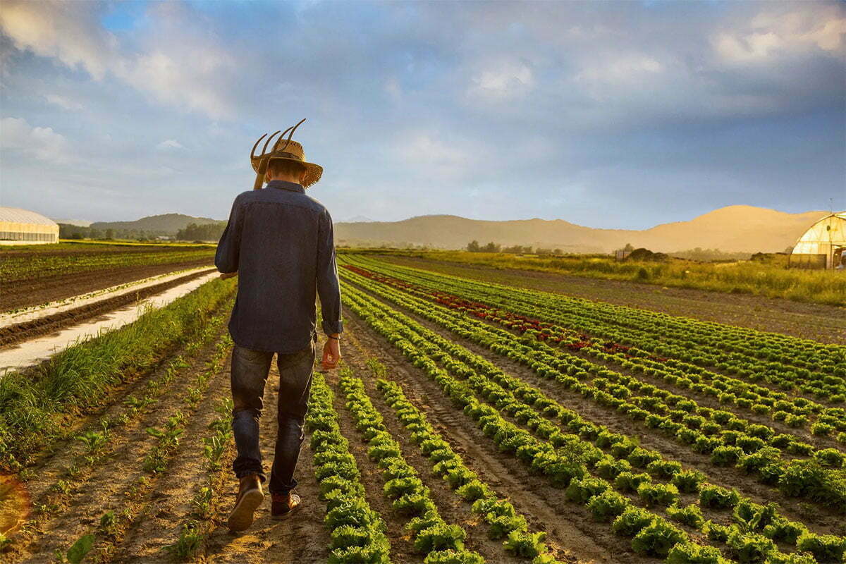 Man’s Arms are Reattached After Farming Accident | The Ugly Minute Man’s Arms are Reattached After Farming Accident | The Ugly Minute
