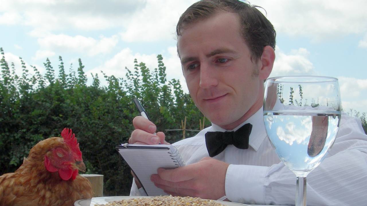 Hotel for Chicken Opens Up in Cornwall | The Ugly Minute