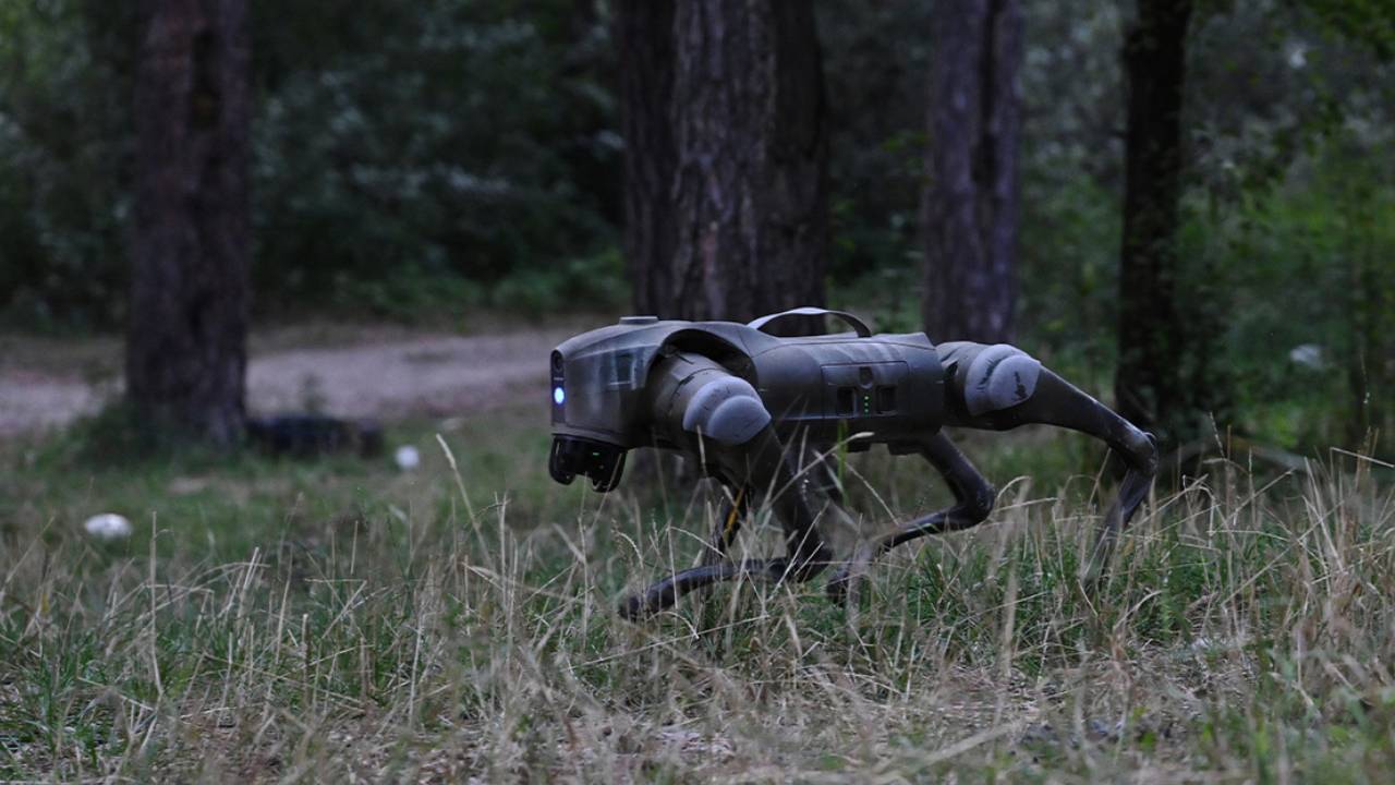 UKRAINE IS GETTING READY TO UNLEASH A SWARM OF ROBOT DOGS | The Ugly Minute