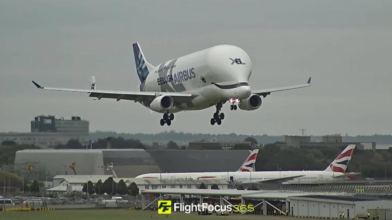 Airbus Beluga lands at London’s Heathrow Airport | The Ugly Minute