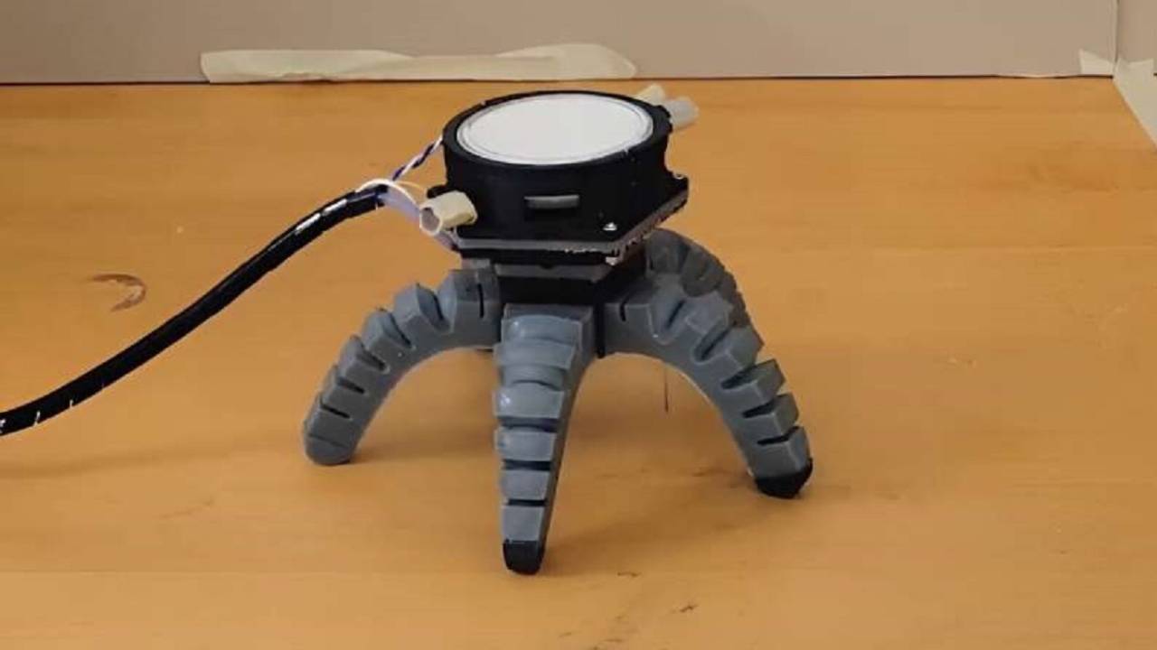 SCIENTISTS GREW A MUSHROOM INTO THIS ROBOT TO ACT AS ITS BRAIN | The ...