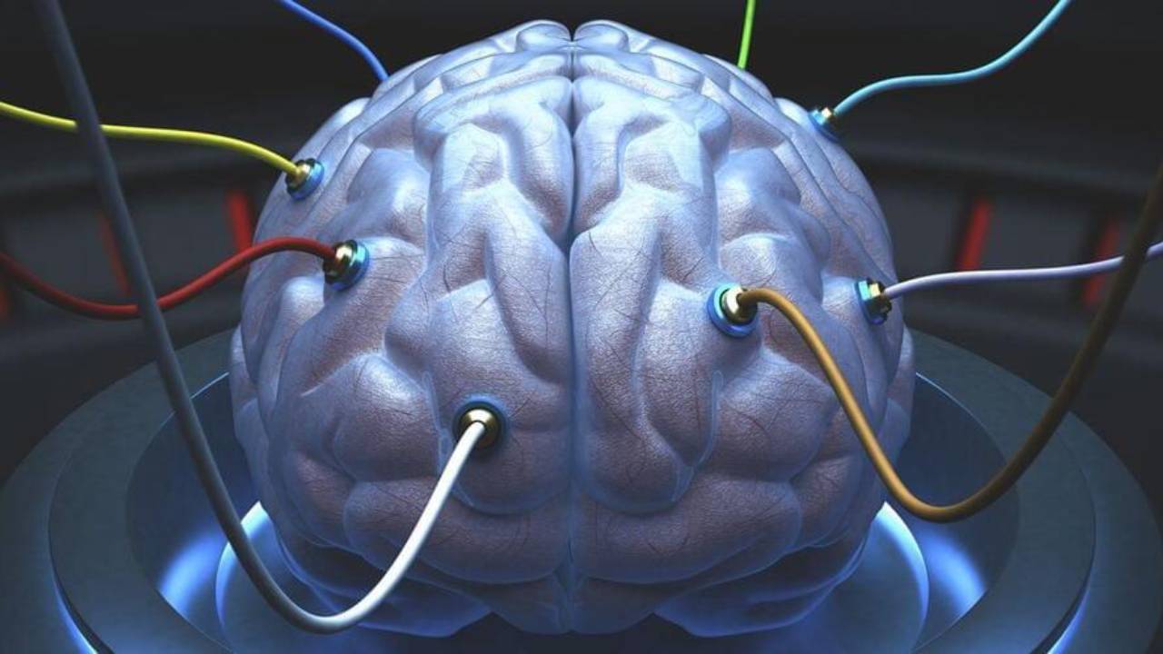 Scientists Have Proven It’s Possible to Bring a Dead Brain ‘Back to ...